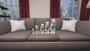 Body Sizes | Warrior Cats: Ultimate Edition (WCUE) Wiki | Fandom