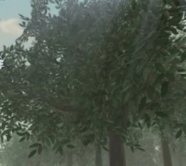 Owl Tree | Warrior Cats: Ultimate Edition (WCUE) Wiki | Fandom