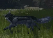 Animations | Warrior Cats: Ultimate Edition (WCUE) Wiki | Fandom