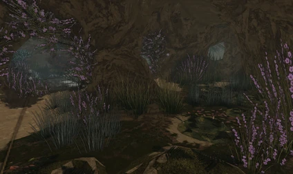 ShadowClan Camp | Warrior Cats: Ultimate Edition (WCUE) Wiki | Fandom