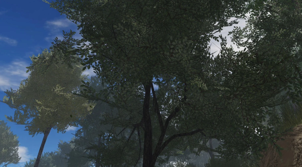 Owl Tree | Warrior Cats: Ultimate Edition (WCUE) Wiki | Fandom