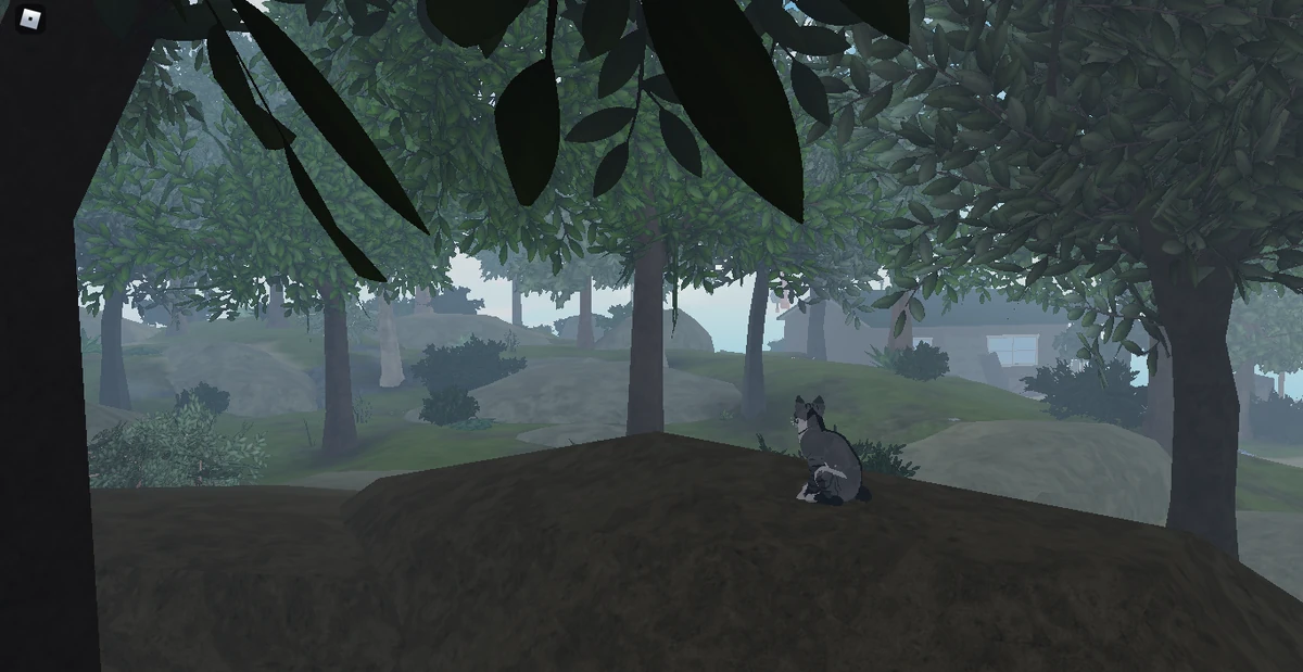 Warrior's Guide | Warrior Cats: Ultimate Edition (WCUE) Wiki | Fandom