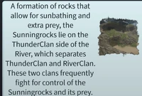 Sunningrocks | Warrior Cats: Ultimate Edition (WCUE) Wiki | Fandom