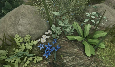 Herbs | Warrior Cats: Ultimate Edition (WCUE) Wiki | Fandom