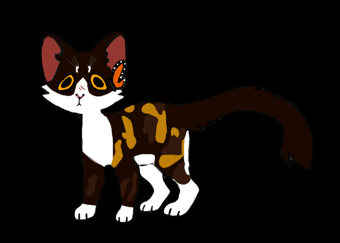 Пятнистая Warrior Cats Ultimate Edition вики Fandom