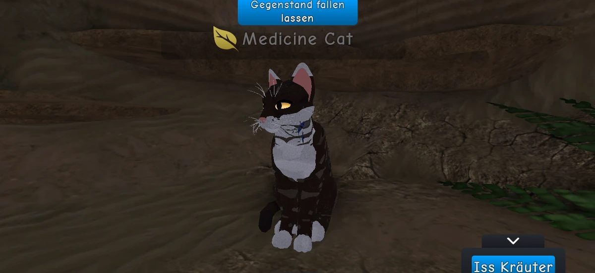 Rollen | Warrior Cats: Ultimate Edition Wiki | Fandom