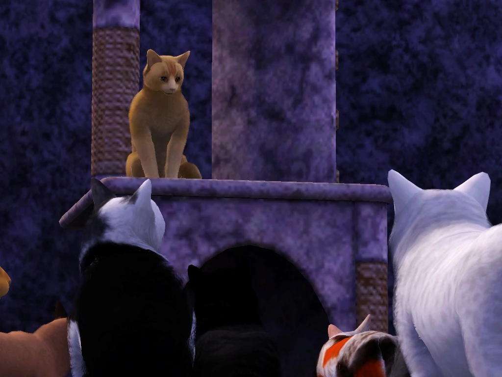 The Severance | Warrior Cats Valley Territories Starclan's Chosen Wiki ...