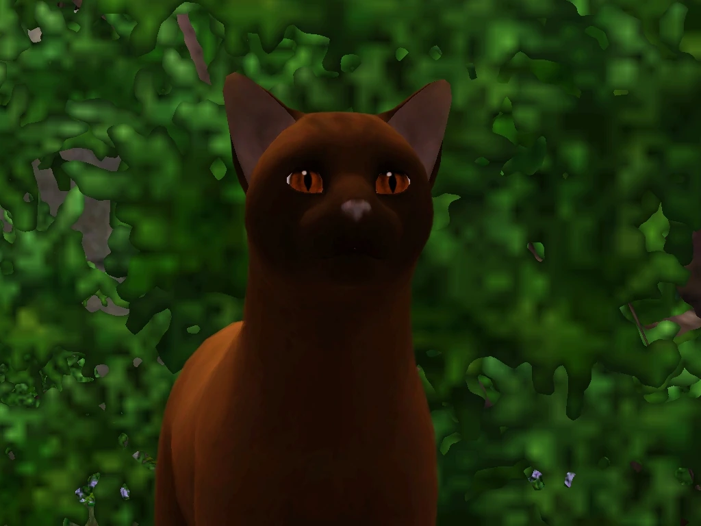 Elmflight | Warrior Cats Valley Territories Starclan's Chosen Wiki | Fandom