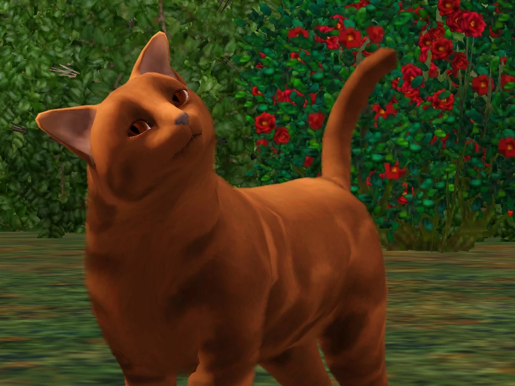 Appleblaze | Warrior Cats Valley Territories Starclan's Chosen Wiki ...