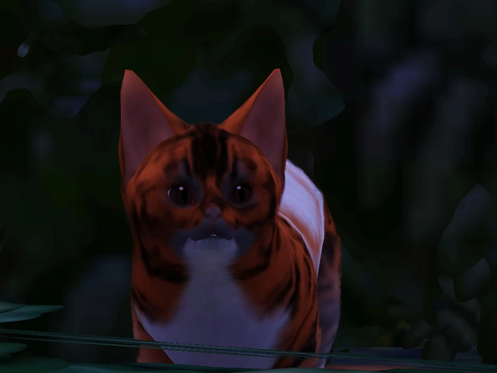 Poppykit | Warrior Cats Valley Territories Starclan's Chosen Wiki | Fandom