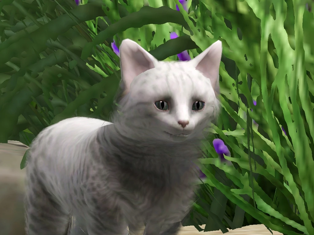 Minnowdream | Warrior Cats Valley Territories Starclan's Chosen Wiki ...