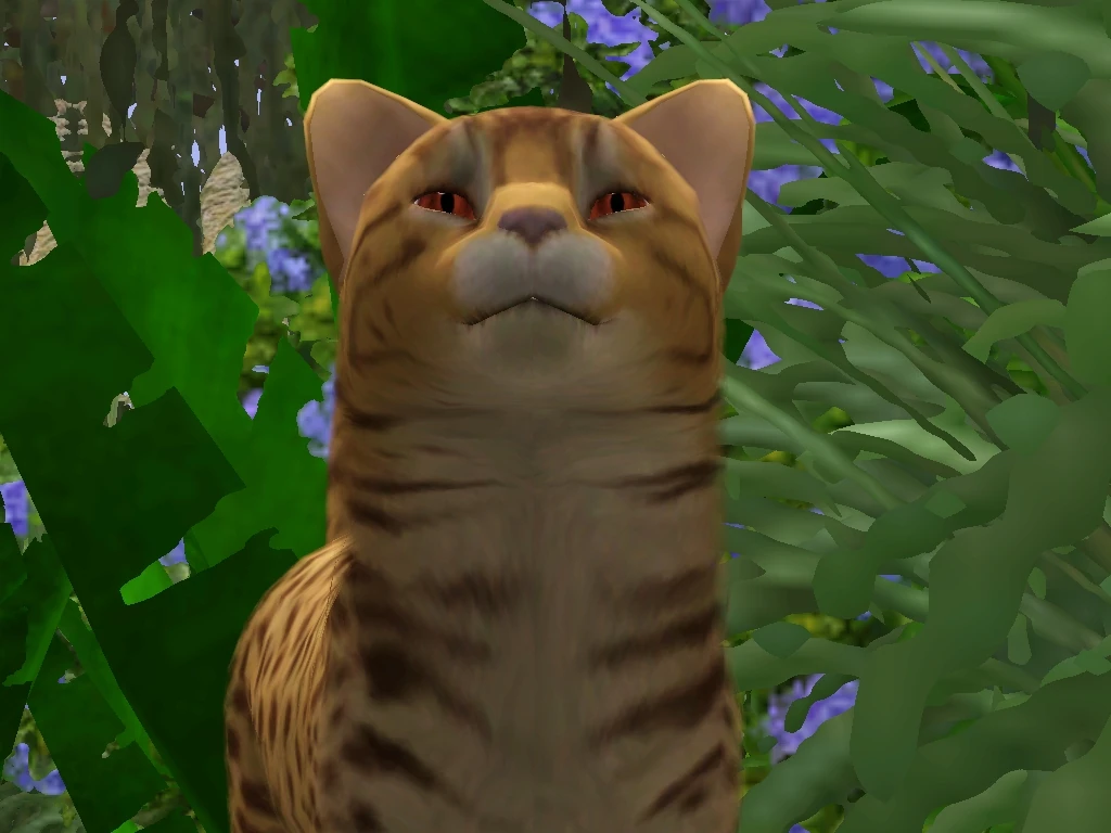 Lobstersplash | Warrior Cats Valley Territories Starclan's Chosen Wiki ...