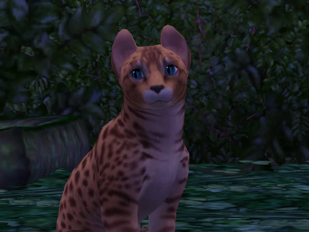 Cresspelt | Warrior Cats Valley Territories Starclan's Chosen Wiki | Fandom