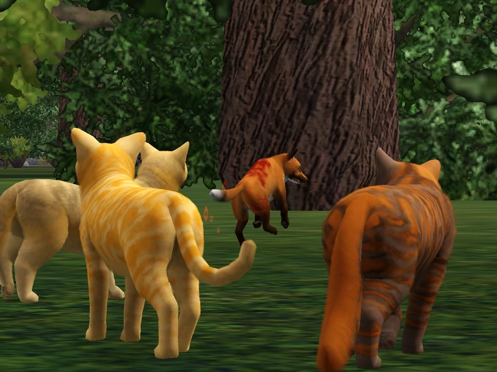 Species Relations | Warrior Cats Valley Territories Starclan's Chosen ...