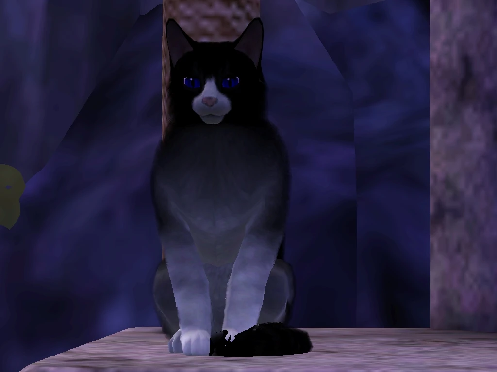 Driftstar | Warrior Cats Valley Territories Starclan's Chosen Wiki | Fandom