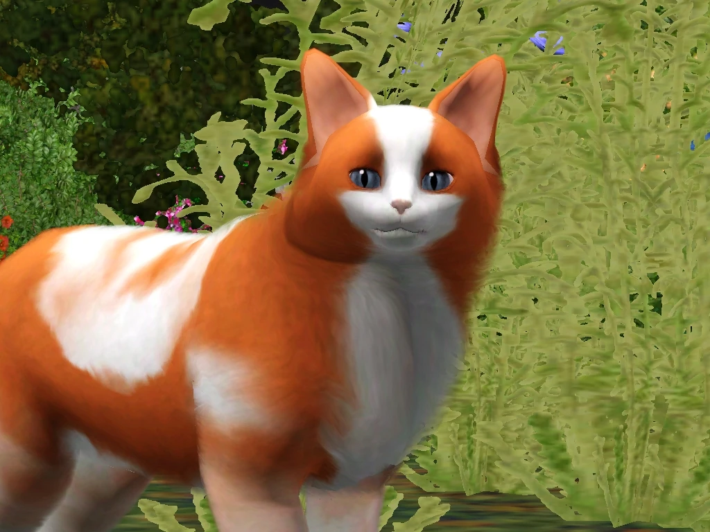 Hydrangeablossom | Warrior Cats Valley Territories Starclan's Chosen ...