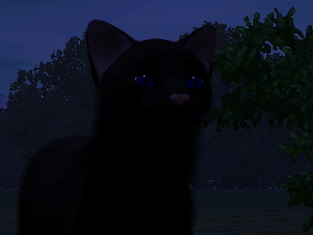 Ravenwing | Warrior Cats Valley Territories Starclan's Chosen Wiki | Fandom