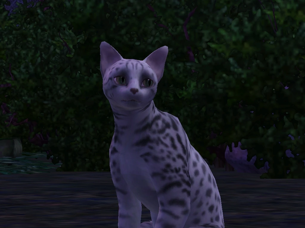 Snowspeck | Warrior Cats Valley Territories Starclan's Chosen Wiki | Fandom