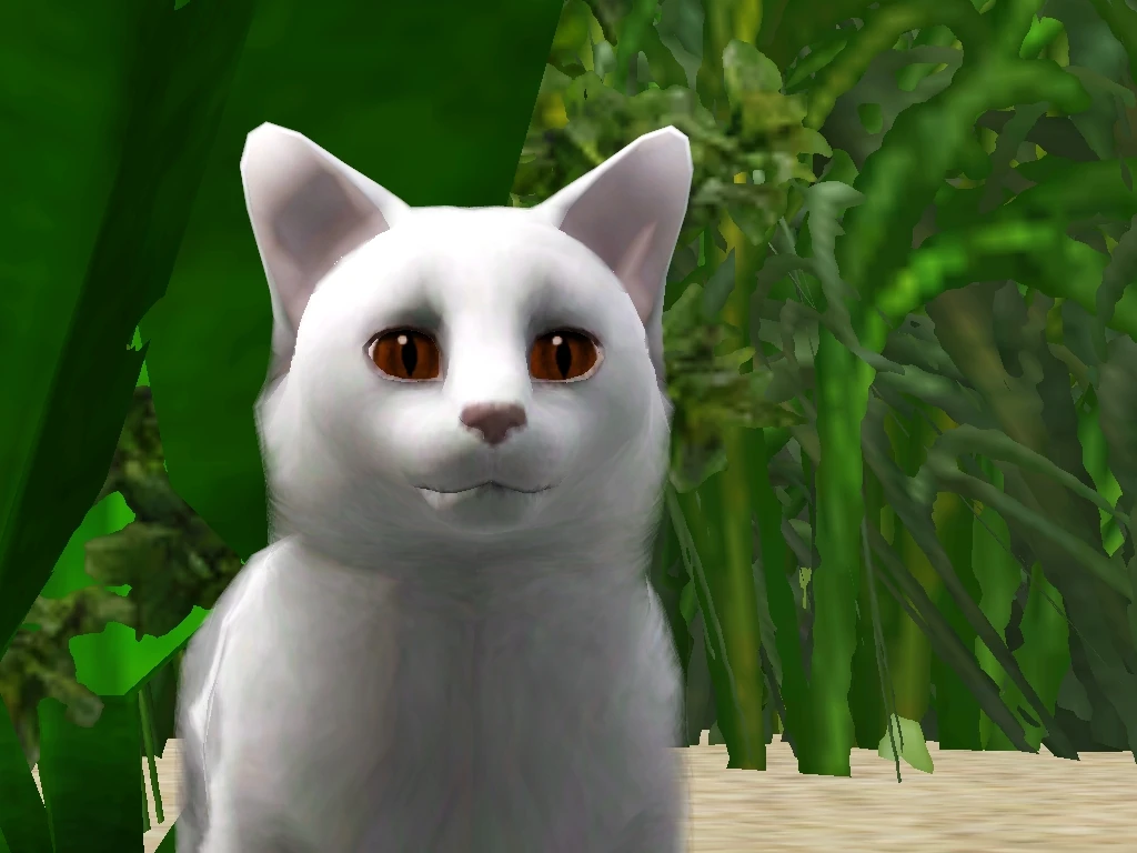 Piketuft | Warrior Cats Valley Territories Starclan's Chosen Wiki | Fandom