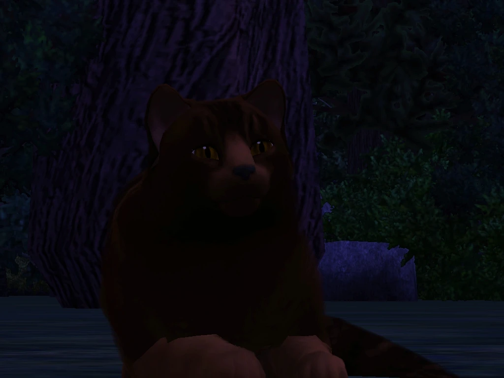 Brambleheart | Warrior Cats Valley Territories Starclan's Chosen Wiki ...