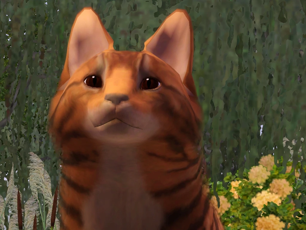 Salmonheart | Warrior Cats Valley Territories Starclan's Chosen Wiki ...