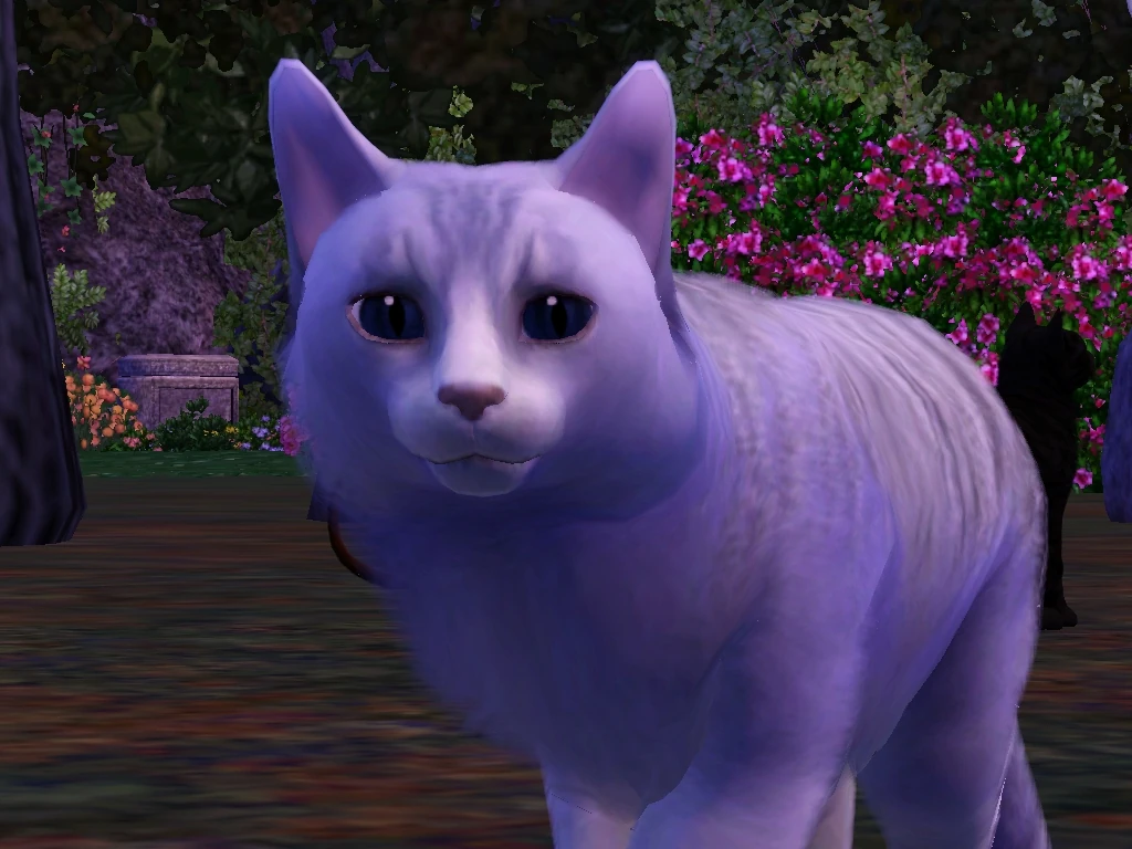 Bluepaw | Warrior Cats Valley Territories Starclan's Chosen Wiki | Fandom