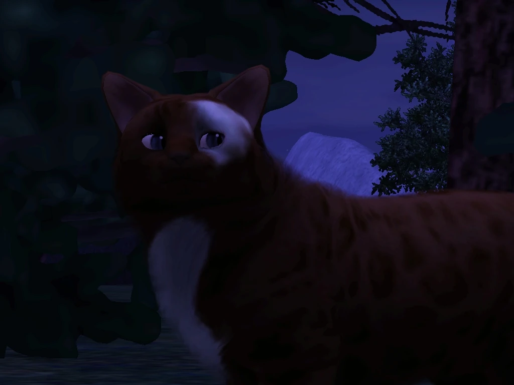 Mudspots | Warrior Cats Valley Territories Starclan's Chosen Wiki | Fandom