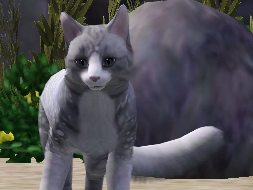 Icemask | Warrior Cats Valley Territories Starclan's Chosen Wiki | Fandom