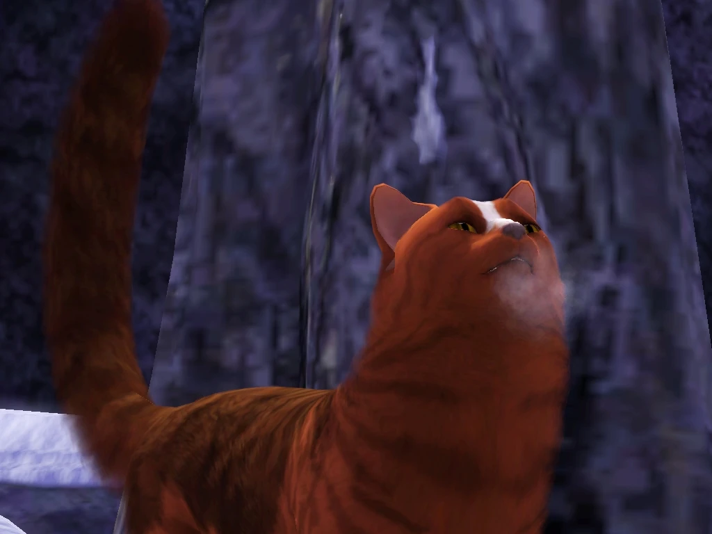 Lightningpaw | Warrior Cats Valley Territories Starclan's Chosen Wiki ...