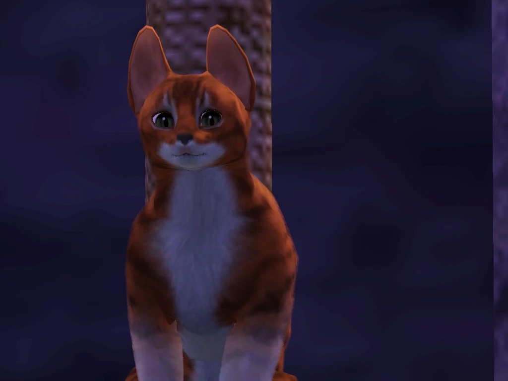 Category:Females | Warrior Cats Valley Territories Starclan's Chosen ...