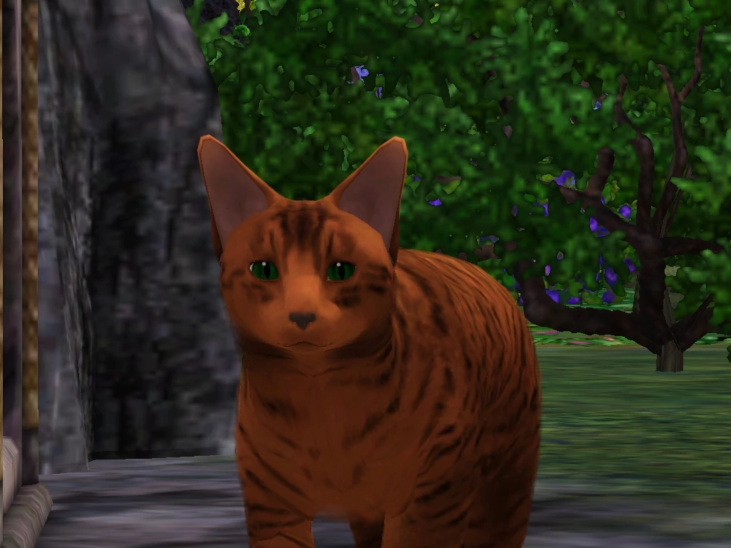 Larchweb | Warrior Cats Valley Territories Starclan's Chosen Wiki | Fandom