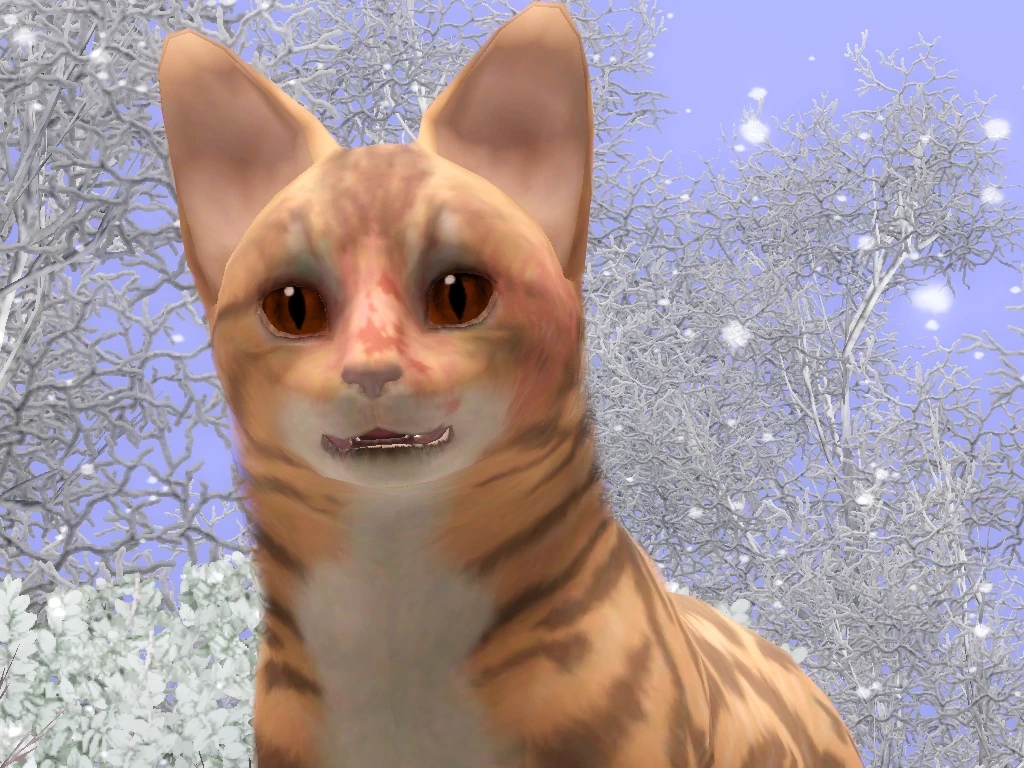 Valkyriecatcher | Warrior Cats Valley Territories Starclan's Chosen ...