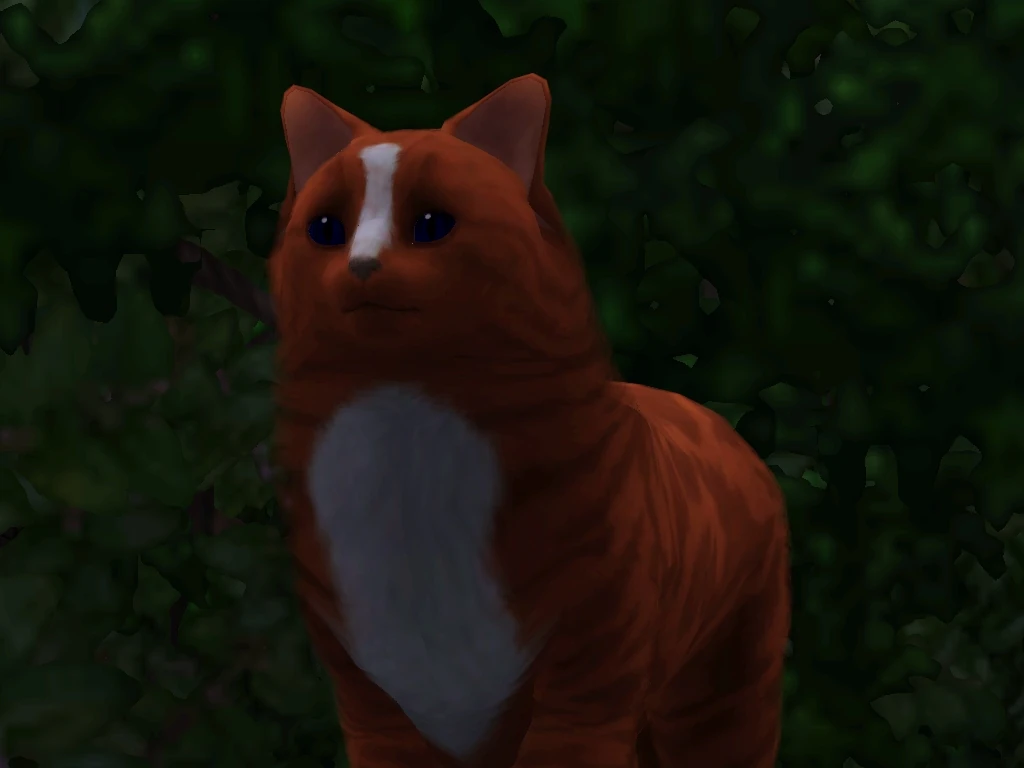 Fallenstreak | Warrior Cats Valley Territories Starclan's Chosen Wiki ...