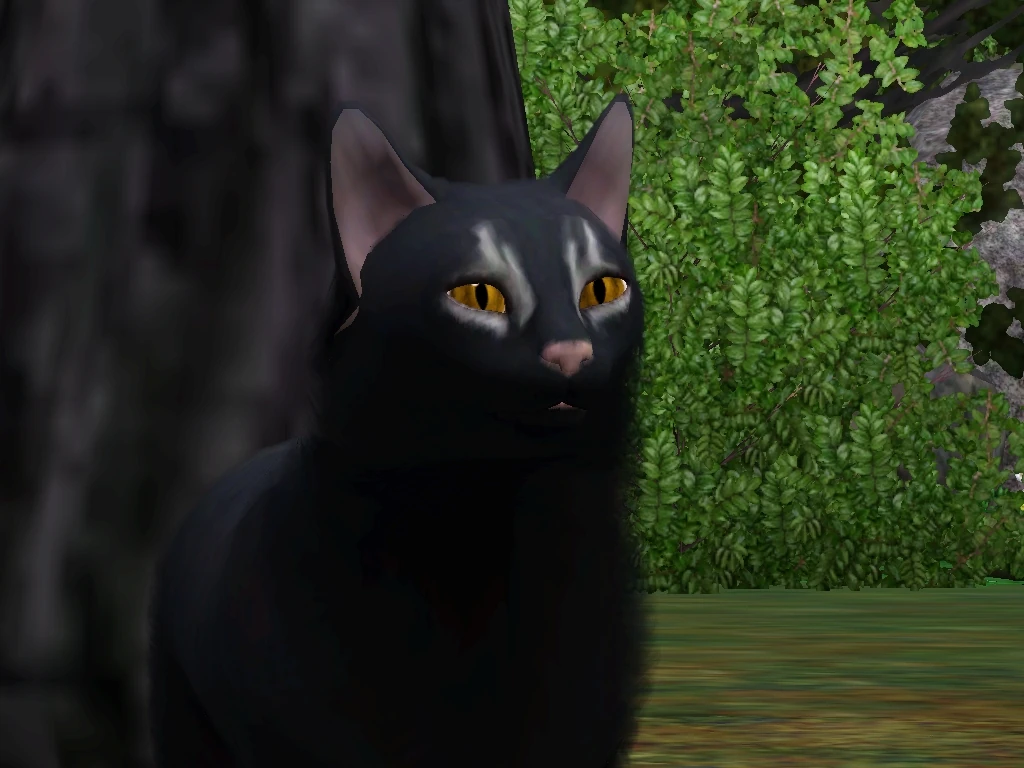 Rabbitstrike | Warrior Cats Valley Territories Starclan's Chosen Wiki ...