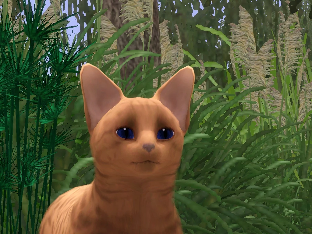 Sandpaw | Warrior Cats Valley Territories Starclan's Chosen Wiki | Fandom