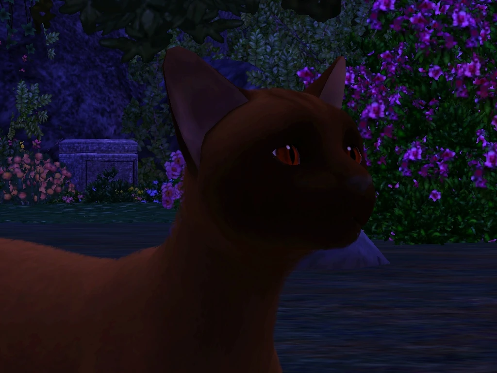 Buzzardcry | Warrior Cats Valley Territories Starclan's Chosen Wiki ...