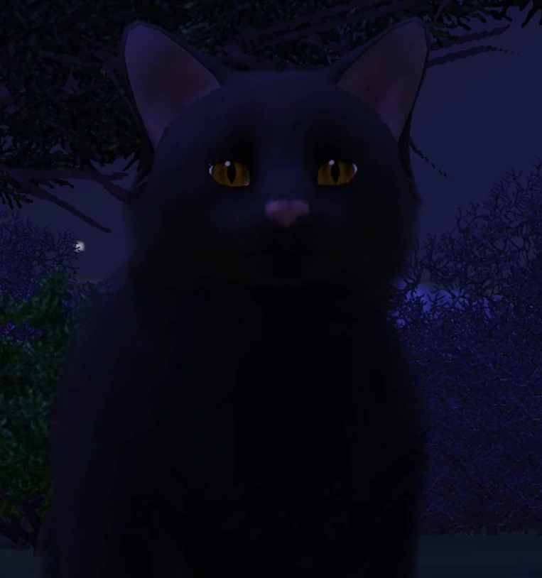 Houndleap | Warrior Cats Valley Territories Starclan's Chosen Wiki | Fandom