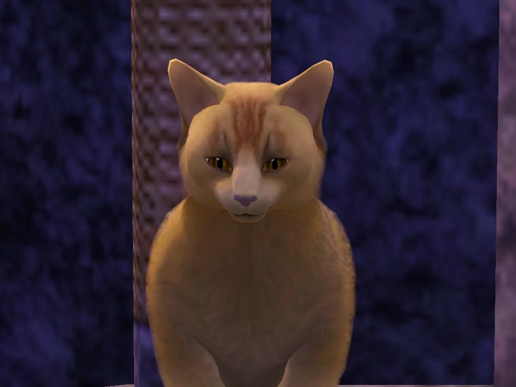 Category:SunClan cats | Warrior Cats Valley Territories Starclan's ...