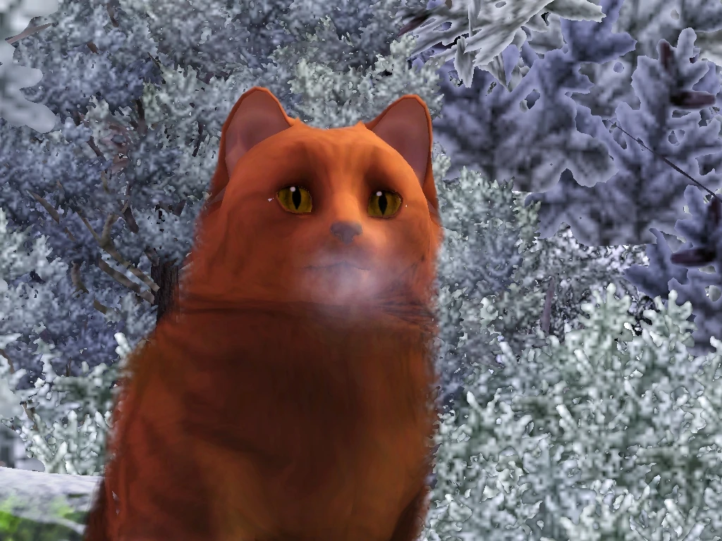 Foxpaw | Warrior Cats Valley Territories Starclan's Chosen Wiki | Fandom