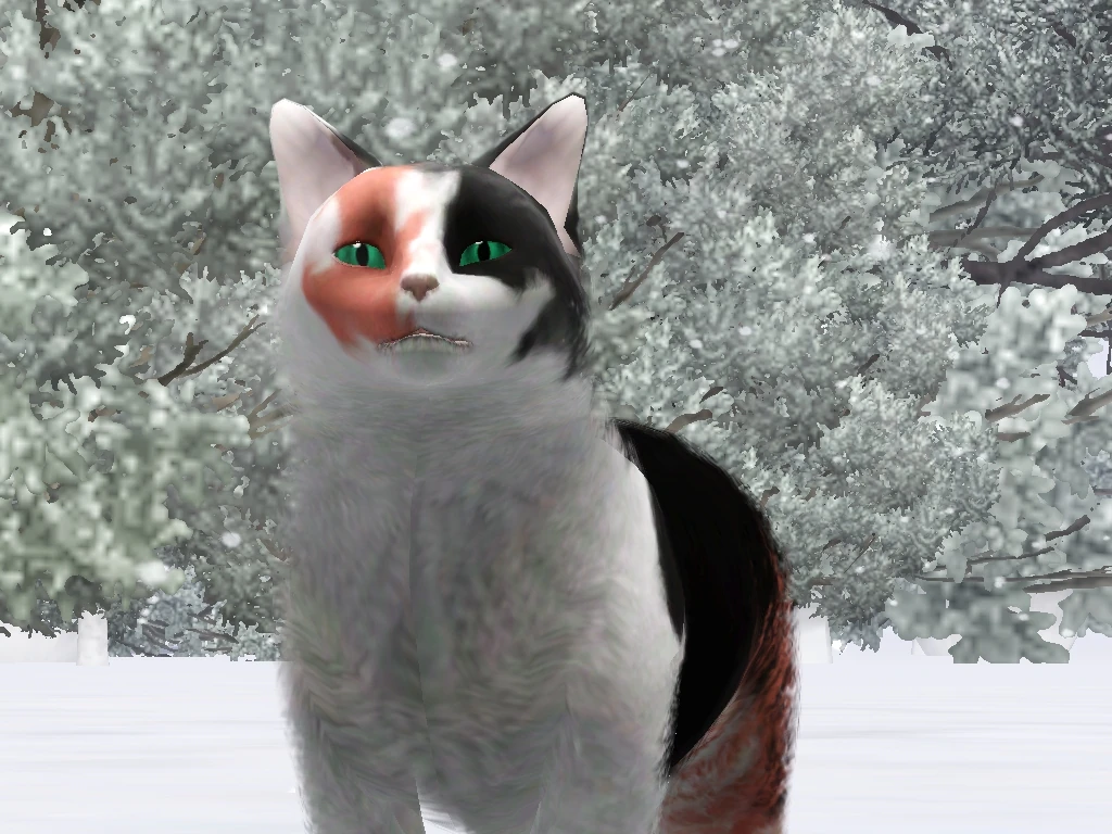 Pinepath | Warrior Cats Valley Territories Starclan's Chosen Wiki | Fandom