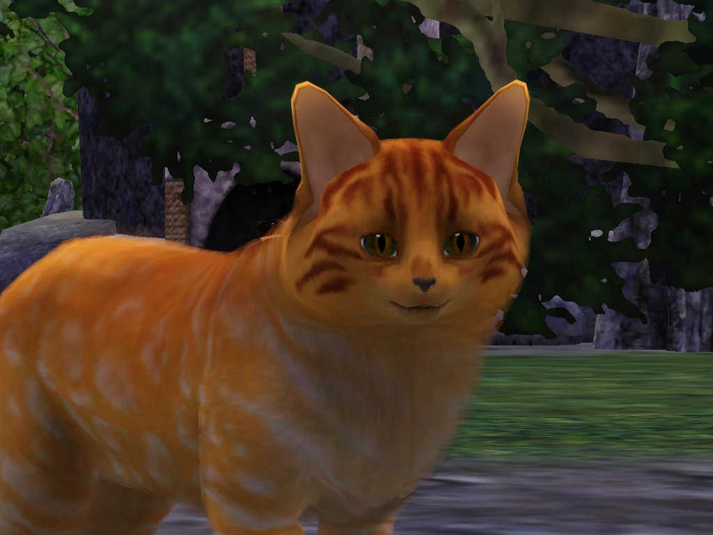 Goldenleaf | Warrior Cats Valley Territories Starclan's Chosen Wiki ...