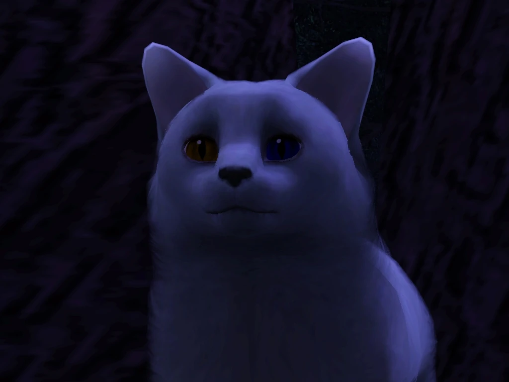 Waterheart | Warrior Cats Valley Territories Starclan's Chosen Wiki ...