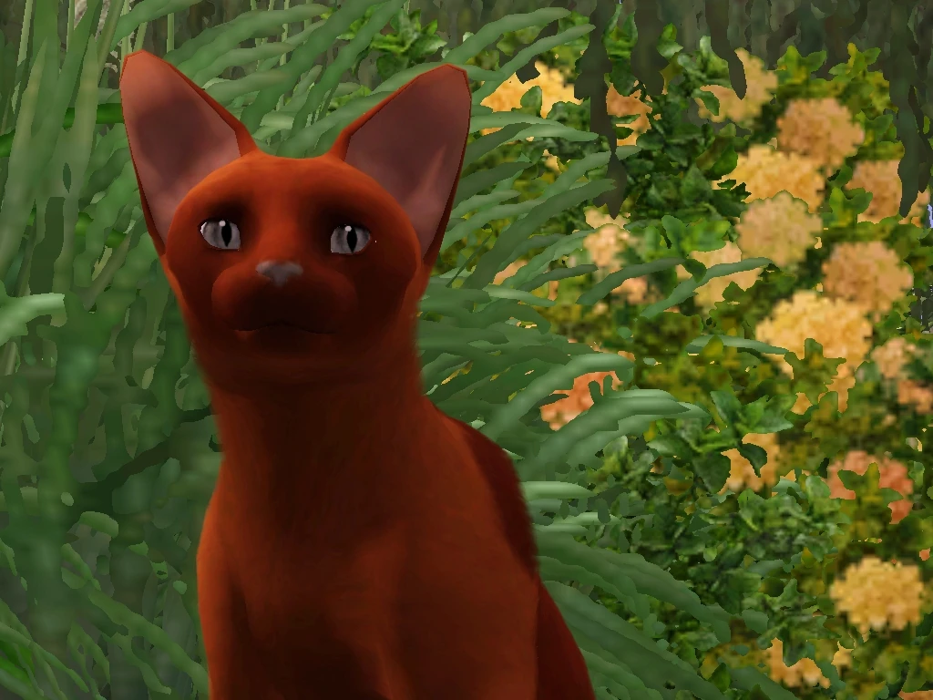 Quillsmoke | Warrior Cats Valley Territories Starclan's Chosen Wiki ...