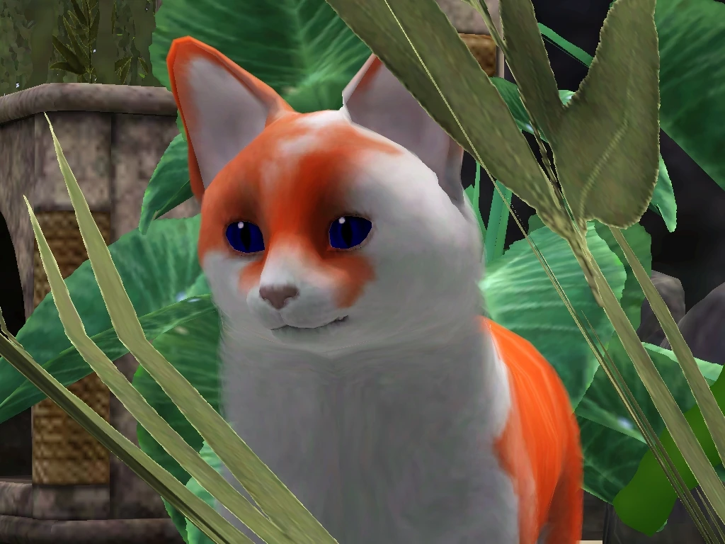 Willowbrook | Warrior Cats Valley Territories Starclan's Chosen Wiki ...