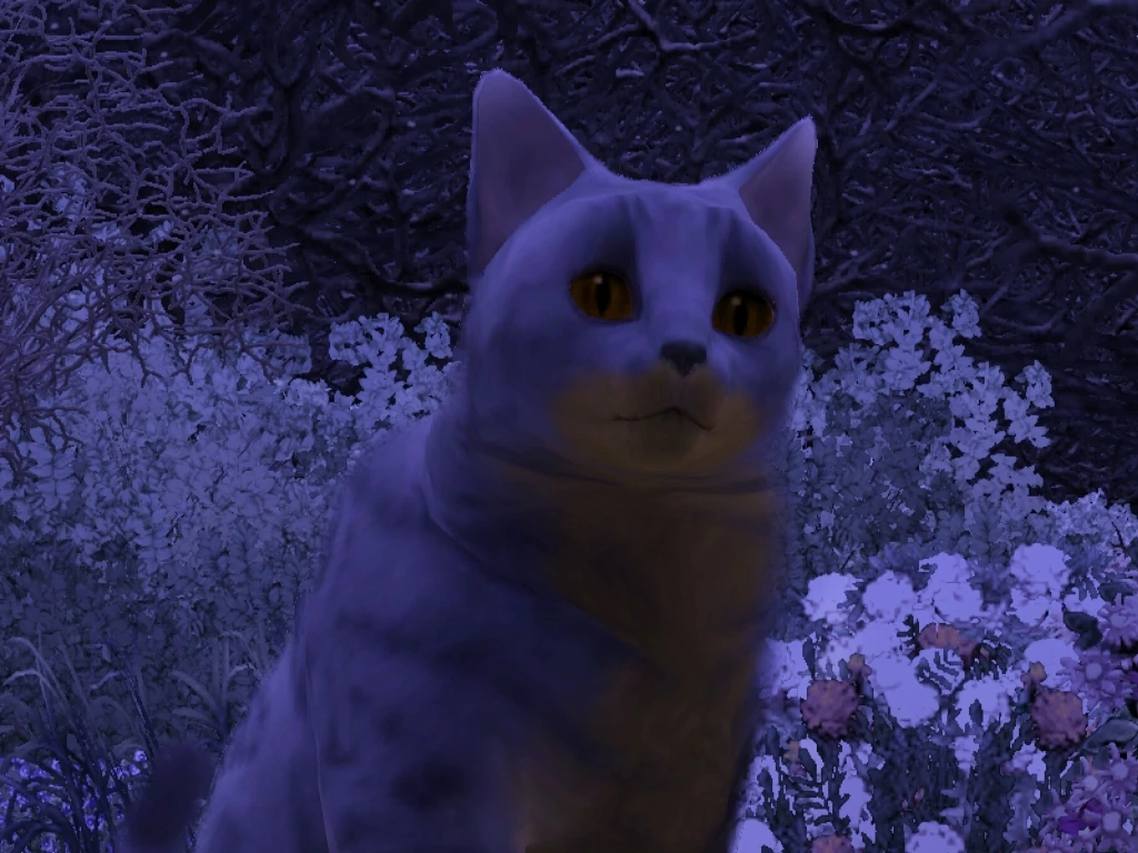 Pheasantpaw | Warrior Cats Valley Territories Wiki | Fandom