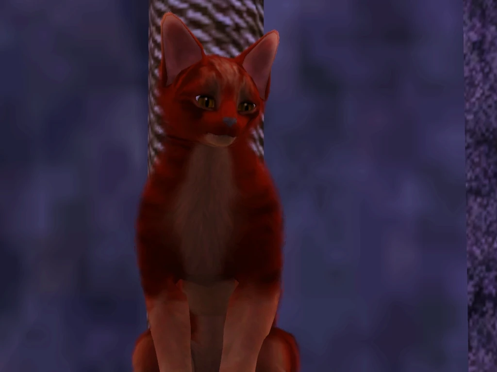 Category:Characters | Warrior Cats Valley Territories Wiki | Fandom