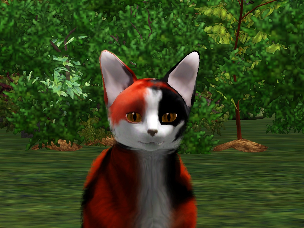 Pepperdapple Warrior Cats Valley Territories Wiki Fandom