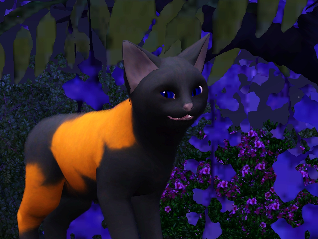 Flickerkit Warrior Cats Valley Territories Wiki Fandom