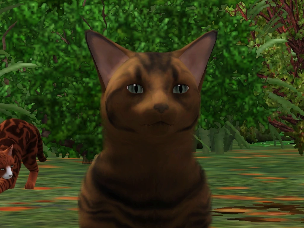 Splashtail | Warrior Cats Valley Territories Wiki | Fandom