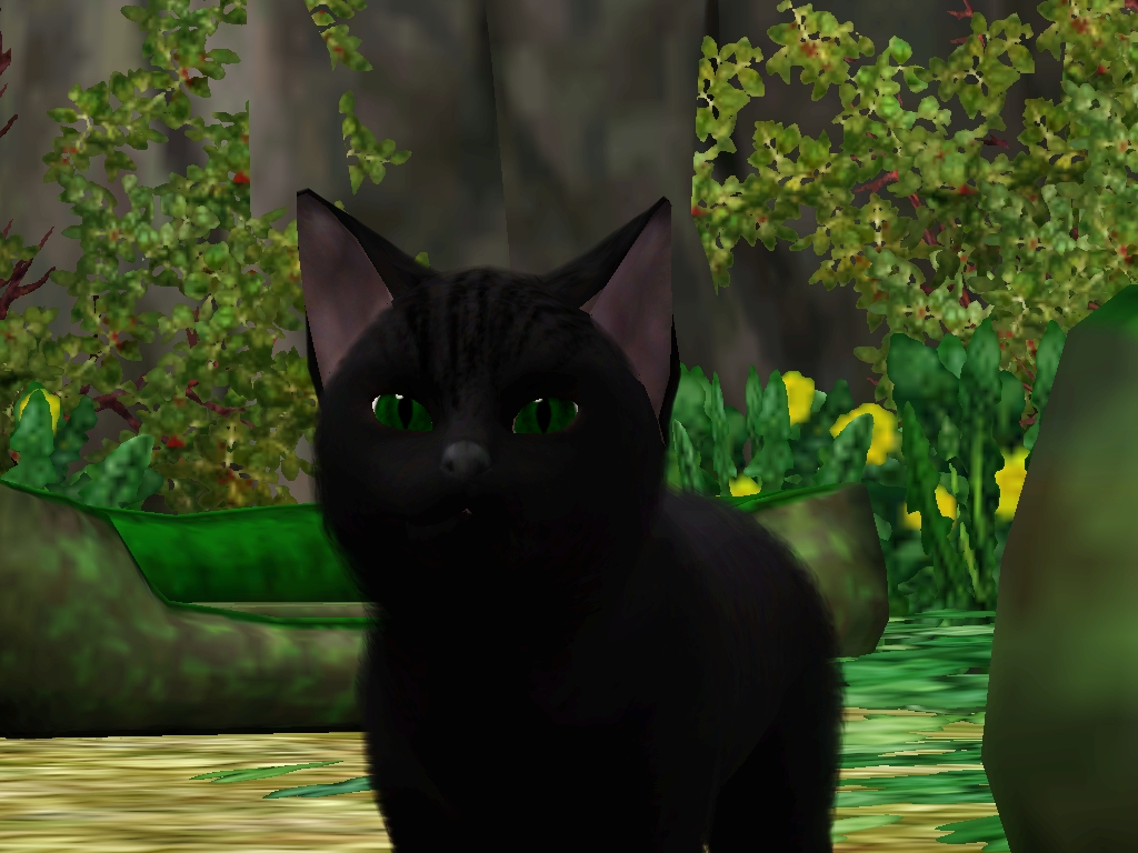 Shadowkit Warrior Cats Valley Territories Wiki Fandom